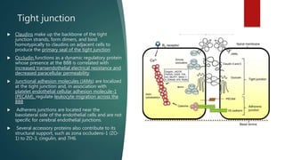 Blood brain barrier | PPTX