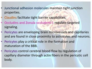 bloodbrainbarrierdrpadmeshv-190417100344.pdf