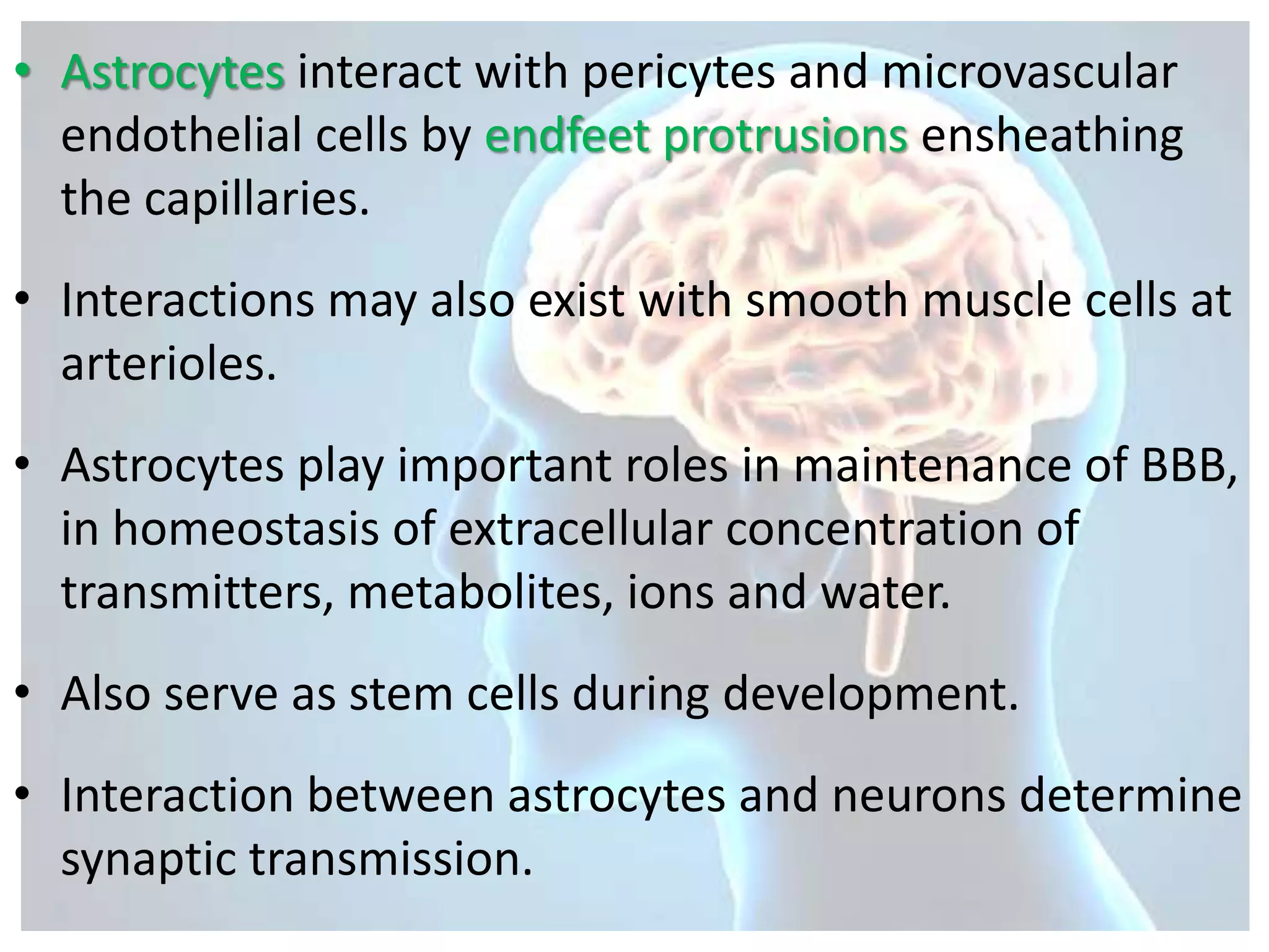 Blood Brain Barrier by Dr Padmesh V | PPTX