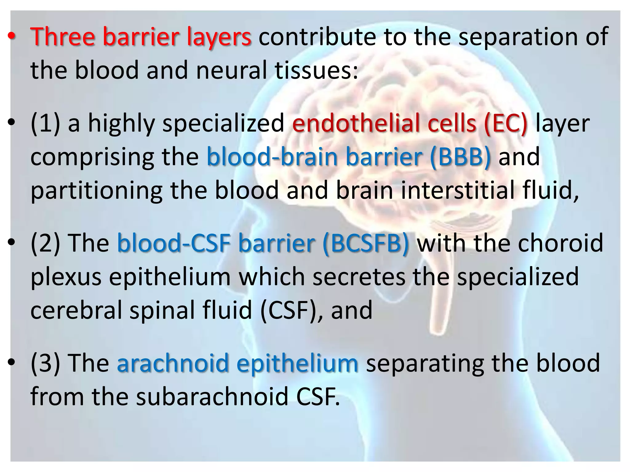 Blood Brain Barrier by Dr Padmesh V | PPTX