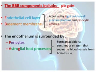 Blood Brain Barrier by Dr Padmesh V | PPTX