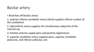 Blood Supply of Brain | PPT