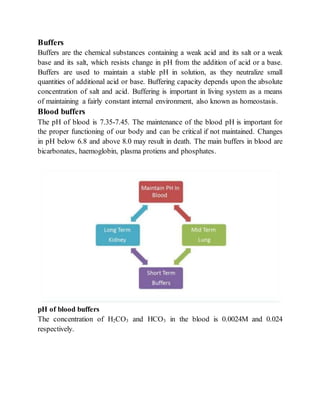 Blood buffers and their role in regulation of homeostasis | DOCX ...