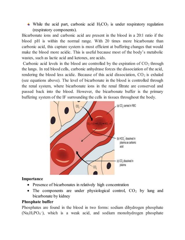 Blood buffers and their role in regulation of homeostasis | PDF