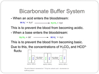 Renal Buffer System