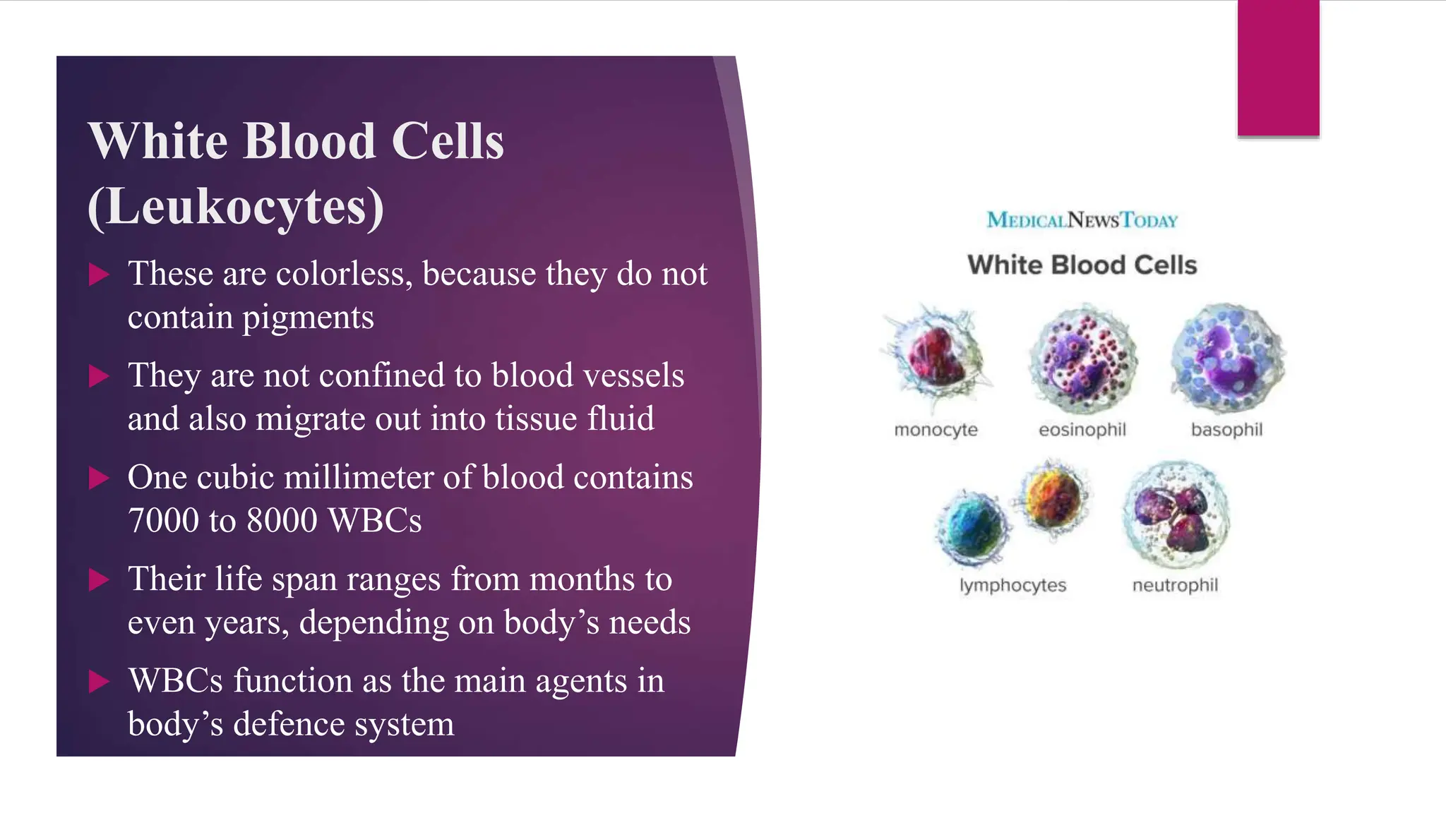 Blood, Blood Plasma and Blood group systems | PPT
