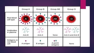Blood, Blood Plasma and Blood group systems | PPTX