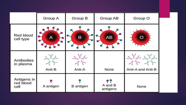 Blood, Blood Plasma and Blood group systems | PPT