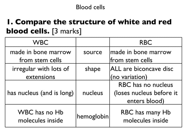 Blood Cell | PPT