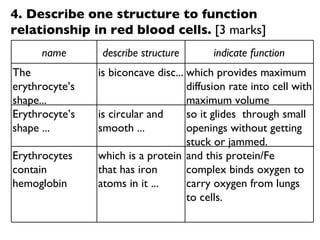 Blood Cell | PPT