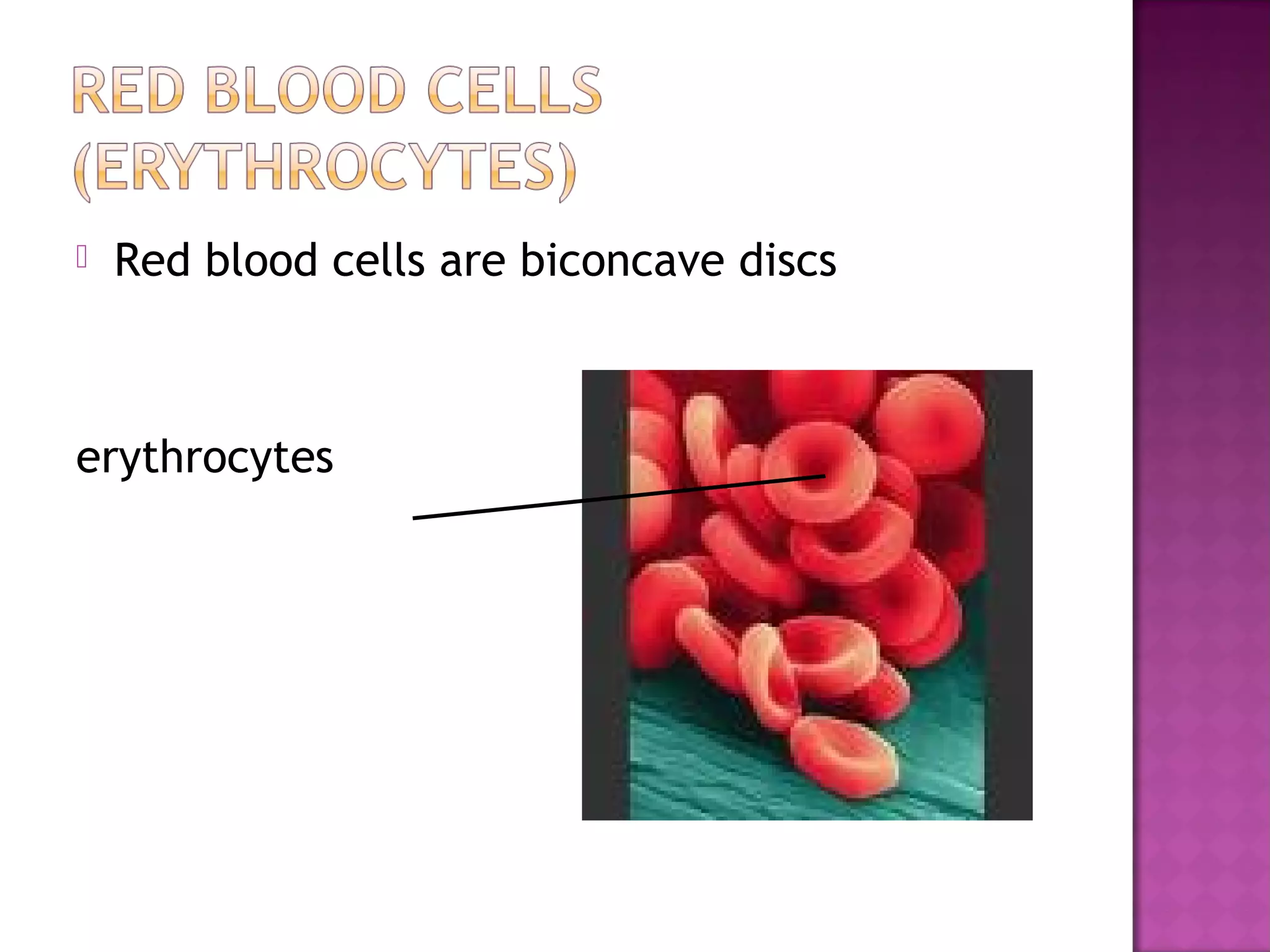 Bloodcell rbc | PPT