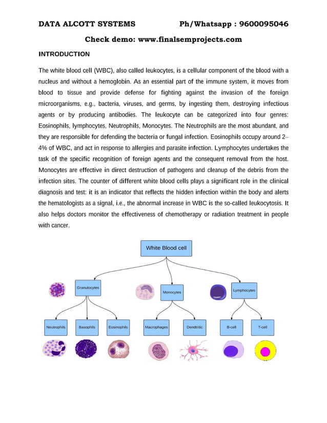 Blood cell classification using deep learning | PDF