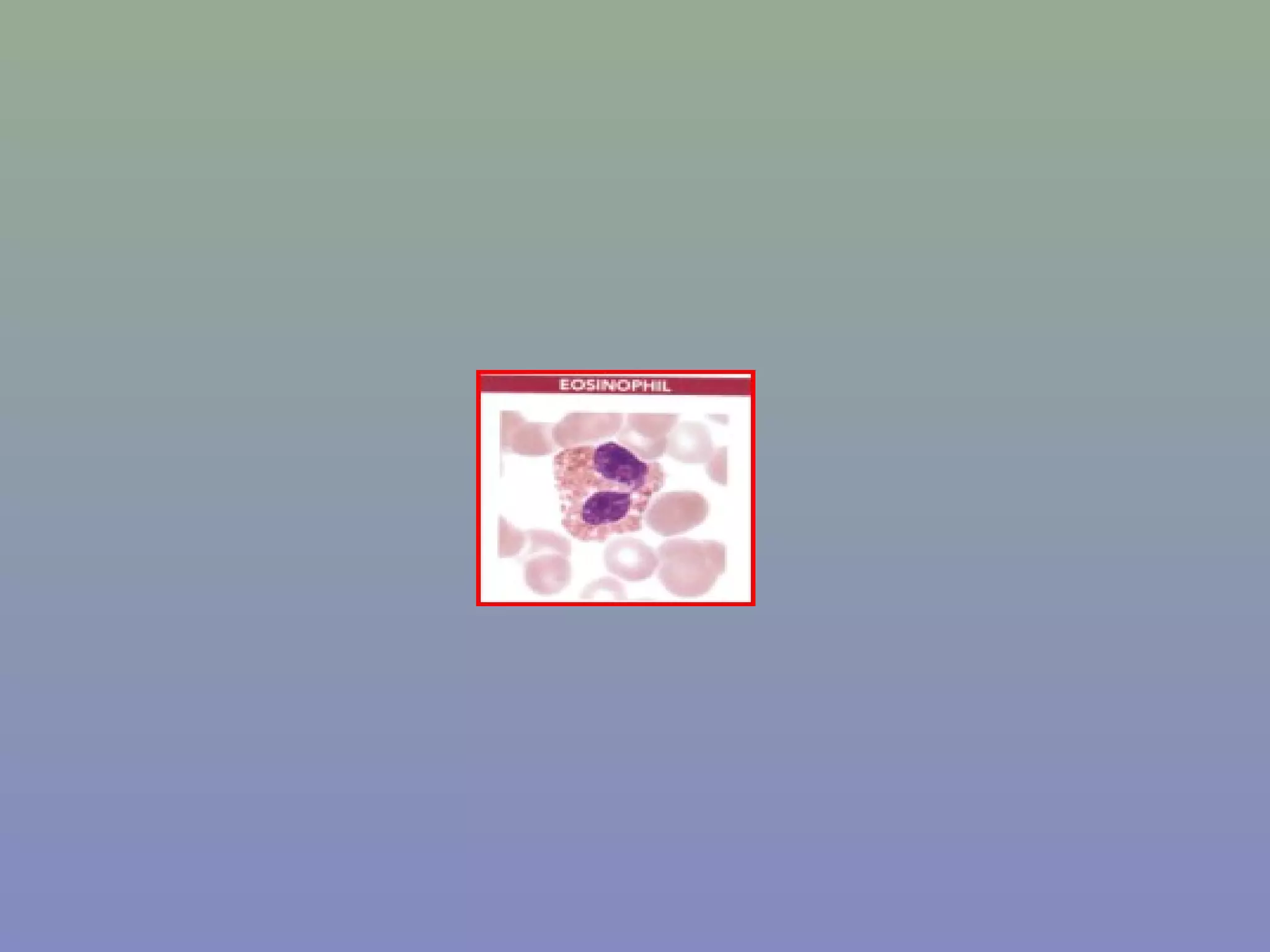 Blood cell counting | PPT