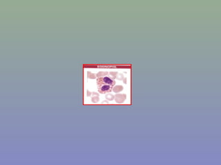 Blood cell counting | PPT