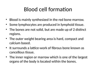 Blood_cell_formation_ David Manyiel lec2.pptx