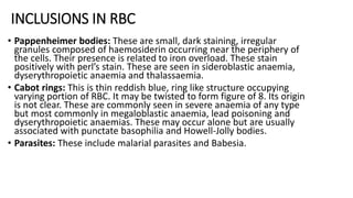 Blood cell morphology | PPTX