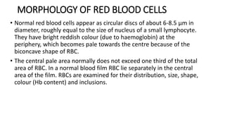 Blood cell morphology | PPTX