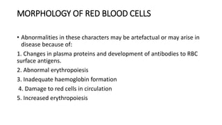 Blood cell morphology | PPTX