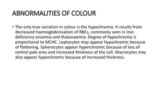 Blood cell morphology | PPTX