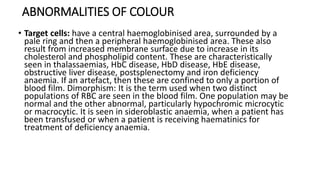 Blood cell morphology | PPTX