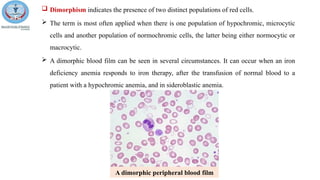 Blood cell morphology in health and disease.pptx