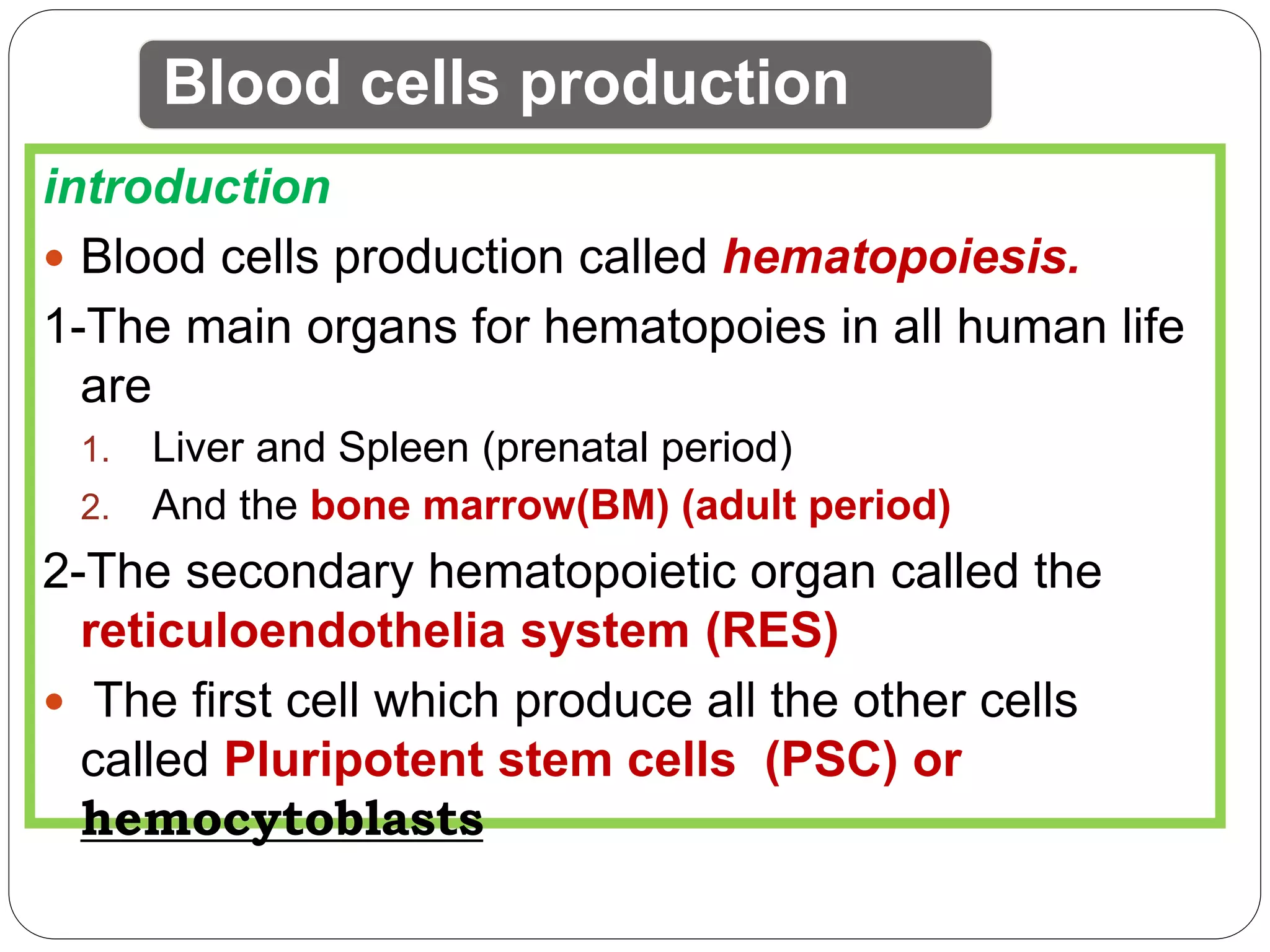 Blood cell production in adult.ppt | Blood Disorders | Diseases and ...