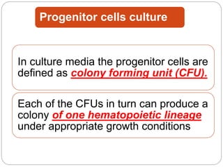 Blood cell production in adult.ppt | Blood Disorders | Diseases and ...