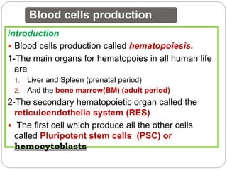 Blood cell production in adult.ppt | Blood Disorders | Diseases and ...