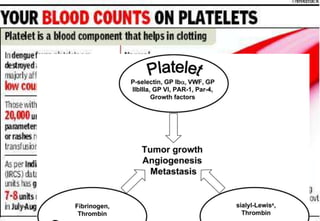 Blood cells | PPTX