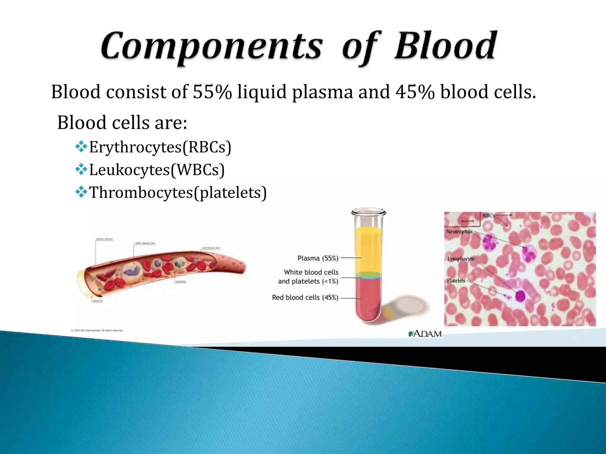 Components of blood | PPTX