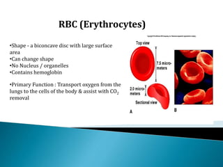 Components of blood | PPTX