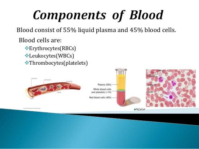 Components of blood