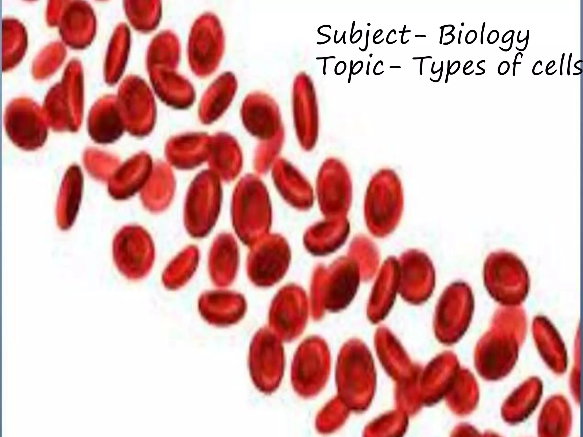 powerpoint presentation on blood cells | PPT