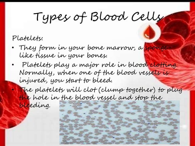powerpoint presentation on blood cells | PPT
