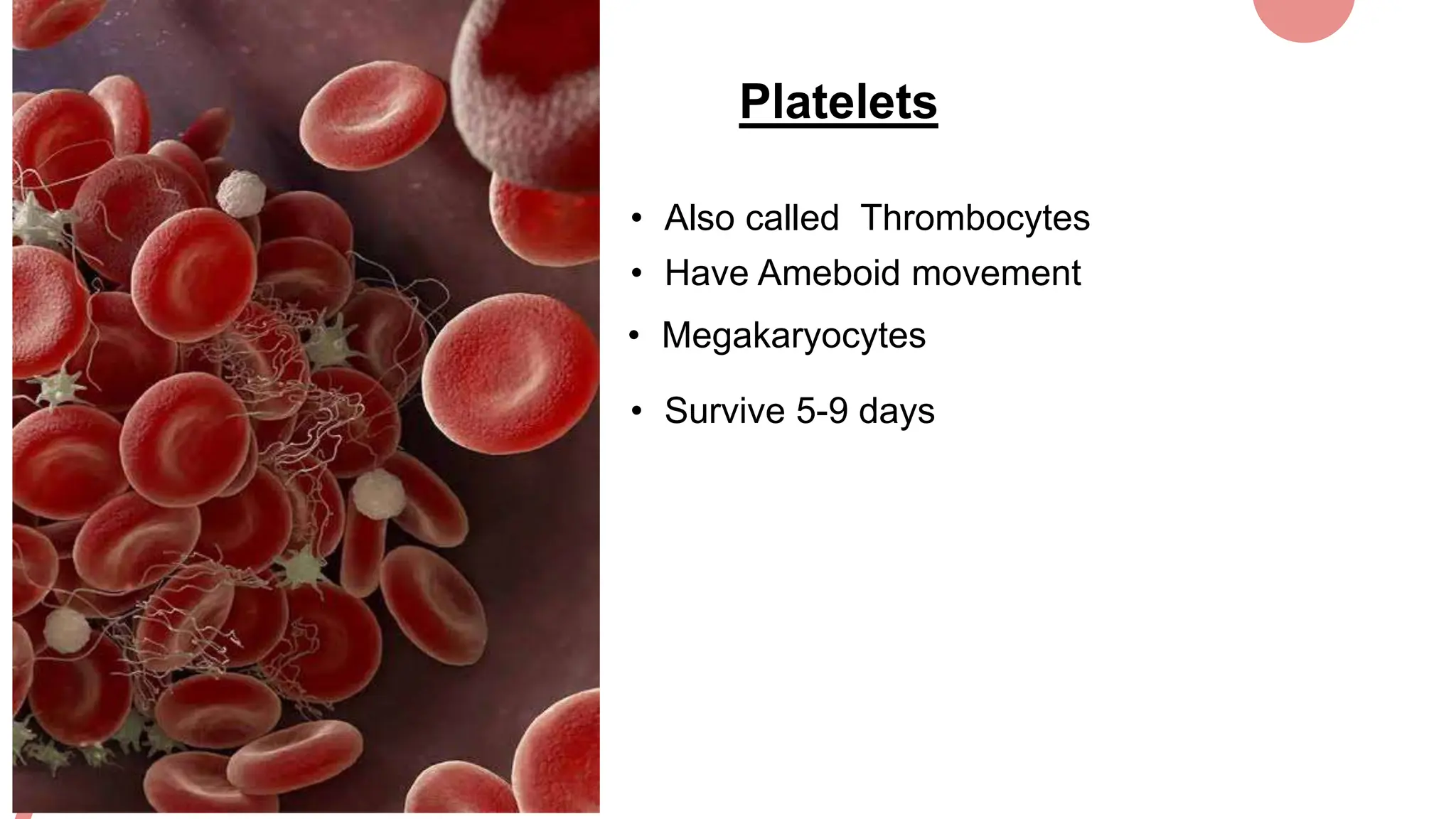 Blood's cells and it's functions in.pptx