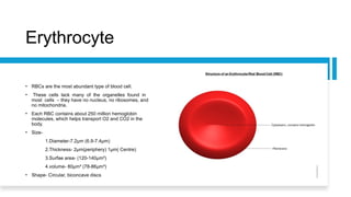 All blood cells(RBC WBC) types......pptx