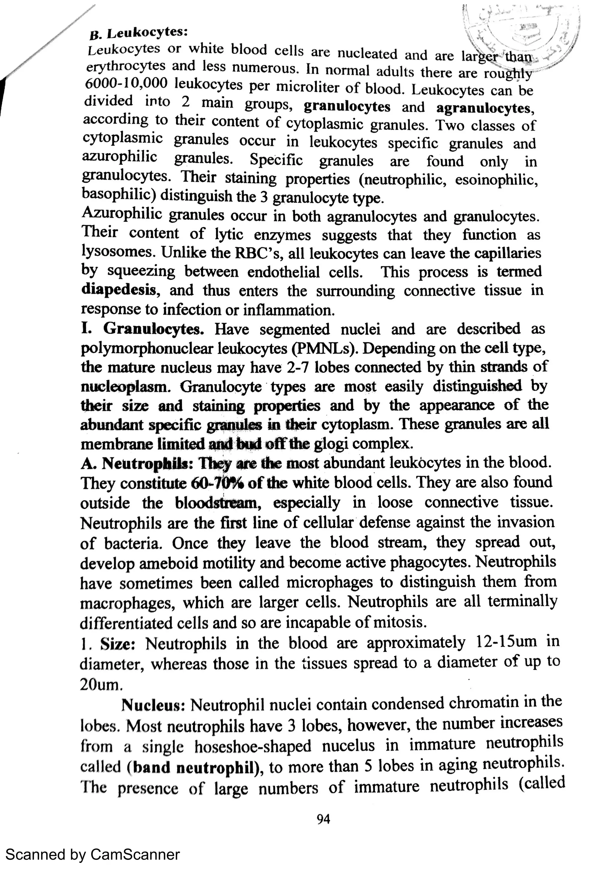 histology Blood cells | PDF