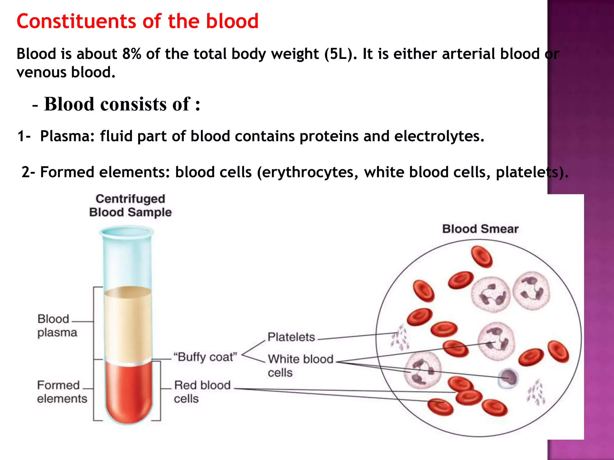 Bloodcells and hematopoesis 2013 | PPTX