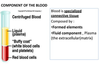 Blood cells and hematopoesis | PPTX