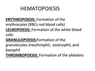 Blood cells and hematopoesis | PPTX