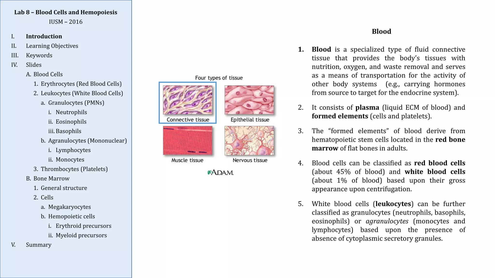 Blood_Cells_Haematopoiesis.pdf