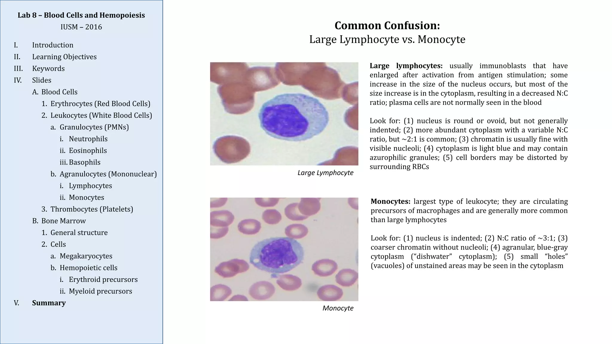 Blood_Cells_Haematopoiesis.pdf