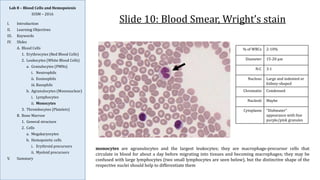 Blood_Cells_Haematopoiesis.pdf
