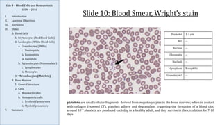 Blood_Cells_Haematopoiesis.pdf