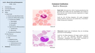 Blood_Cells_Haematopoiesis.pdf
