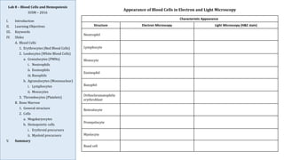 Blood_Cells_Haematopoiesis.pdf