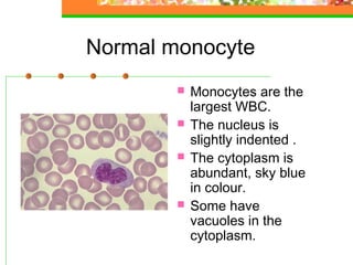 Blood cells morphology | PPT