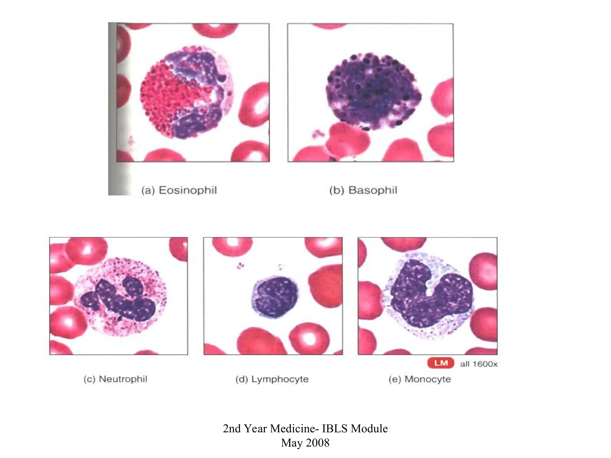 different Types of WBC 2. Recognize the general functions of WBC 3 ...
