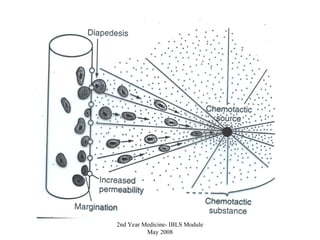 different Types of WBC 2. Recognize the general functions of WBC 3 ...
