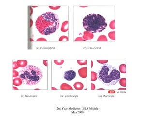 different Types of WBC 2. Recognize the general functions of WBC 3 ...